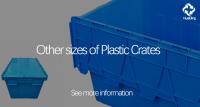China 600*400*103 Folded Size Plastic Crates The Ultimate Storage Solution for Vegetables for sale