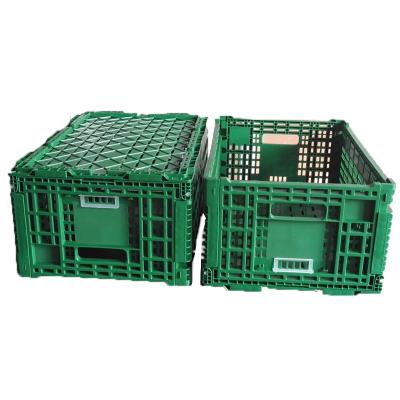 China Collapsible Mesh Style Plastic Crates 0.82kg for Convenient Storage and Transport for sale