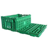 China Collapsible Mesh Style Plastic Crates 0.82kg for Convenient Storage and Transport for sale