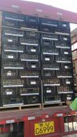 China 2.25kg Lightweight Small Collapsible Plastic Crates for Fruits and Vegetables for sale