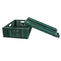 China HUADING's Rectangle Injection Plastic Mesh Fruit Crate The Perfect Storage Solution for sale
