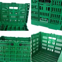 China Green or Customized Collapsible Plastic Mesh Box for Vegetable and Fruit Distribution for sale