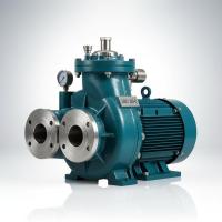 China 2BE1 202-0 Water Ring Vacuum Pump 33hpa Ultimate Vacuum Oil Free Industrial for sale