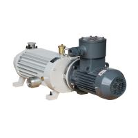 China LGV-180 Dry Screw Vacuum Pump 180 m3/h High Vacuum ≤5 Pa Low Noise <78 dB Corrosion Resistant for sale