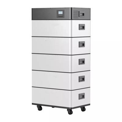China 48V 200Ah 100Ah 10kWh 5kWh Power Wall Mount Power Rack Lifepo4 51.2v 200Ah Rechargeable Battery for sale