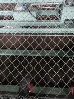 China Double Wire Chain Link Diamond Mesh Machine With PLC  System for sale