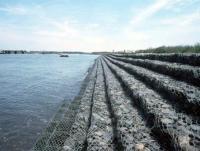 China Gabion Box/Gabion Mesh/Hexagonal Wire Mesh/Gabion mattress/gabion for sale