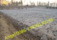 China 2X1X1m Hexagonal PVC Coated Gabion /Gabions Box Price16.28$/PC (XM-45) for sale