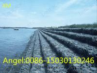 China 40-270g/Sqm Hot-Dipped Galvanized (Galfan) Gabion Box/Gabions for sale