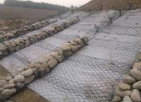 China Anti-Flood Bank Protection Hot Galvanized Gabion Wire Mesh Box for sale