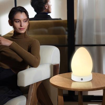 China 12V DC Output Voltage 360 Degree Egg Light Therapy Lamp USB Charging 5 Level Dimmable 186 LEDs Daylight Lamp Sad Therapy for sale