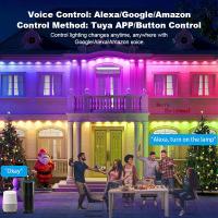 China Point Lights Rgbw Gemstone Wifi House Source Track Rgbic Smart Holiday Eaves Led Christmas Permanent Outdoor Lighting for sale