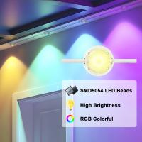China Point Lights Rgbw Gemstone Wifi House Source Track Rgbic Smart Holiday Eaves Led Christmas Permanent Outdoor Lighting for sale