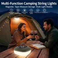 China Factory Direct Sales Fast Delivery 4 Blue Indicators Easy Operation Magnetic Camping Festival Light LED Wire Light for sale