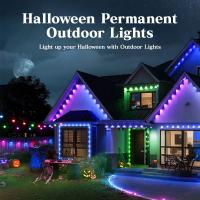 China Wholesale 24V RGB LED Eaves Lights IP67 Waterproof Smart for Bluetooth Control High Brightness Permanent Outdoor Christmas Light for sale