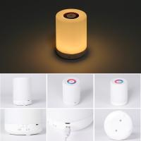 China Factory Direct Luxury Modern LED Night Light 3 Touch Dimmer Colors USB Operated ABS Material Mini Size Home Use for sale