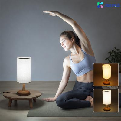 China Factory Direct Sales Bulk Supply Lamps 3 Color Temperatures 5 Brightness Levels Sad Lamp Therapy for sale