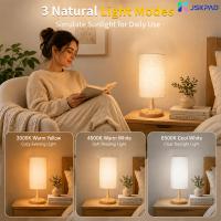 China Factory Direct Sales Hot Sale 12V LED Light UV Free Full Spectrum Auto Timer Sad Lamp Therapy for sale