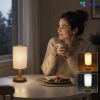China Factory Direct Sales Hot Sale 12V Table Lamp 3 Color Temperatures 5 Brightness Levels Auto Timer Sad Lamp Therapy for sale