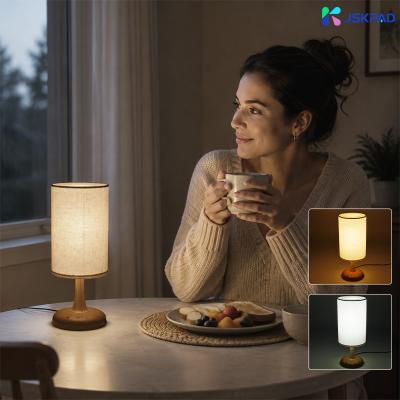 China Factory Direct Sales Hot Sale 12V Table Lamp 3 Color Temperatures 5 Brightness Levels Auto Timer Sad Lamp Therapy for sale