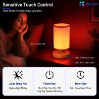 China Factory Direct Sale Hot Selling LED 4 Modes 12W Touch Dimmable Auto Timer Dual Port Charging Portable CE Certified Sad Lamp for sale