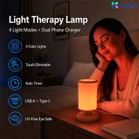 China Factory Direct Sale Top Selling LED 4 Modes 12W Remote/Manual Dimmable Auto Timer USB C Charging CE FCC RoHS Sad Home Office for sale