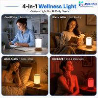 China Factory Direct Sale Top Selling LED 4 Modes 12W Remote/Manual Dimmable Auto Timer USB C Charging CE FCC RoHS Sad Home Office for sale