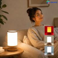 China LED Daylight Therapy Lamp 4 Color Light Touch Dimmable Auto Timer Fast Charging Port CE FCC RoHS Approved Home Use for sale