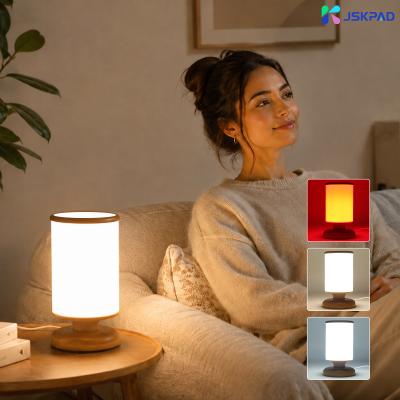 China LED Daylight Therapy Lamp 4 Color Light Touch Dimmable Auto Timer Fast Charging Port CE FCC RoHS Approved Home Use for sale