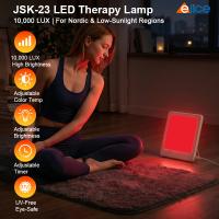 China Nordic Winter Sun Supplement Adjustable Color Temp Eye Safe Portable LED Sad Lamp Therapy Home Use 5-Level Dimming for sale
