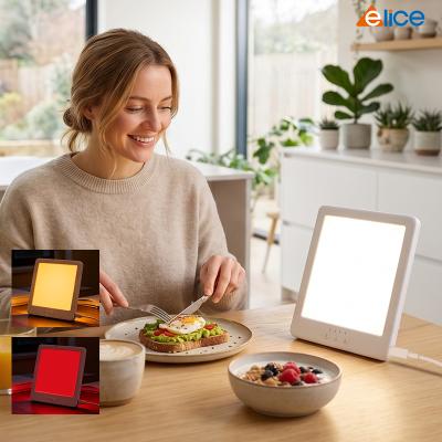 China Dual Light Modes 15 30 45 60min Timer Compact Size 156x35x176mm Hot Selling Factory Direct Sale LED Sad Lamp Therapy for sale