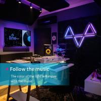 China Factory Costom Modern Style Voice Control Smart Indoor Home Lighting Wall Music Lights Smart Adjustable Lamp for sale