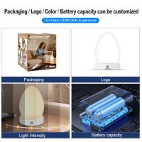 China Premium 190mm Height Egg Light Therapy Device Dual USB Output 12V Adapter 5W Long Lifespan Light Therapy Lamp for sale