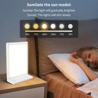 China JSKPAD New SAD Light Portable Jet Lag Depression LED Therapy Lamp Adjustable 10000 lux White Noise Machine for sale