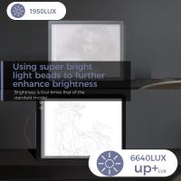 China Portable LED Tracing Light Pad with Large Battery USB Panel Port Flexible Source for Training Institutions Cordless Scale for sale