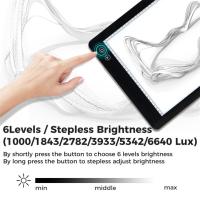 China Hot LED Lighting Board with Battery Drawing Table LED Light Pad Craft Tattoo Tracing Pad A2 A3 A4 A5 LED Copying Board Light Box for sale