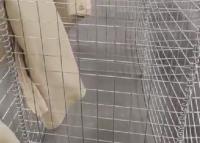 China MIL 9 Stone Anti Corrosion Hesco Bastion Defensive Barrier Easily Assembled for sale