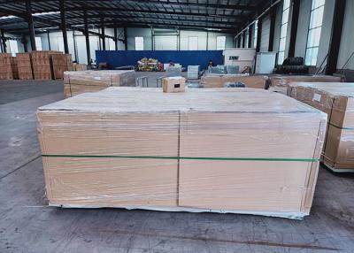 China 55*100mm 3D Fence Panel  Home Garden Metal Mesh Fencing Panels for sale