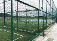 China 48mm Metal Chain Link Fence Hot Dip Galvanized 6 Foot decorative chain link fence for sale
