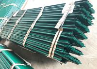 China PVC Coated Metal Palisade Fencing Hot Dip Galvanized Garden Decorative Steel Fence for sale