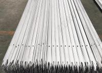 China W D Pale Powder Coated Palisade Fencing , Galvanized Stainless Steel Palisade Fencing for sale