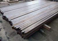 China Powder Coated Steel Picket Fence Panels , W Section Galvanized Palisade Fencing for sale