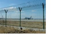 China 2.0m Galvanized Welded Wire Mesh for sale