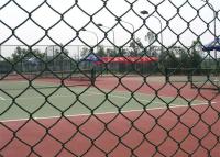 China 50mm Metal Chain Link Fence PVC Coated 3.5mm Steel Diamond Mesh for sale