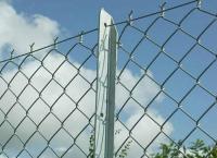China Decorative Metal Border Fence Garden Border 8 Feet High Chain Link Fence for sale