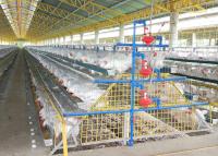 China A Type Layer Chicken Cage for sale