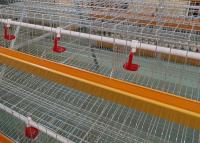 China A Type Layer Chicken Cage for sale