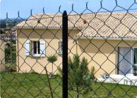 China 2.4m Height Green 60x60mm Plain Pvc Coated Chain Link Fence for sale