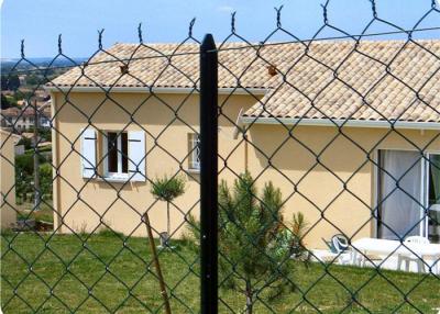China 2.4m Height Green 60x60mm Plain Pvc Coated Chain Link Fence for sale