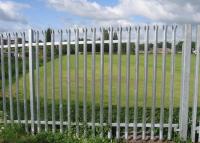 China W Pale / D Pale Steel Palisade Fence Galvanized Or Powder Coated for sale